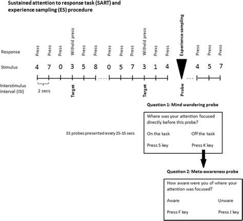 Schematic Representation Of The Sustained Attention To Response Task Download Scientific