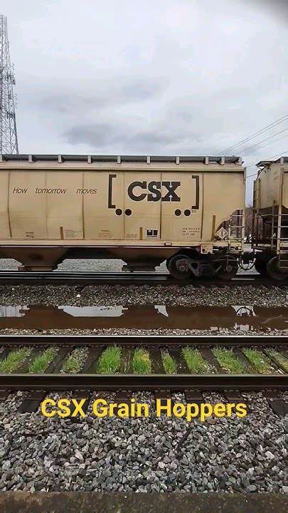 Csx Grain Covered Hoppers Csx Csxt Hoppers Camerabryan