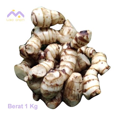 Jual Umbi Ganyong Muria Super Murah Shopee Indonesia