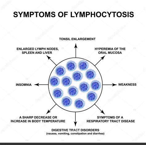 Absolute Lymphocyte Count Alc How Important Is Alc In Disease Diagnosis The Immune System