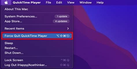 fixed the file isn t compatible with quicktime player