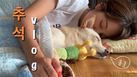 노는게 제일 좋아😝ㅣ추석 Vlogㅣ강아지랑 추석 보내기ㅣ먹고 노는 브이로그ㅣ가족들이랑 명절 보내기 Youtube