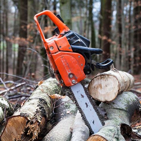 Chainsaw Runs Good Until Hot At Edward Calvo Blog