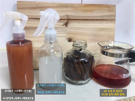 모기퇴치 스프레이 만들기 계피 팅쳐 이용 모기퇴치제 만들기 네이버 블로그