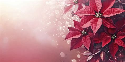 빨간 크리스마스 배경 크리스마스 크리스마스 트리 간결한 배경 일러스트 및 사진 무료 다운로드 Pngtree