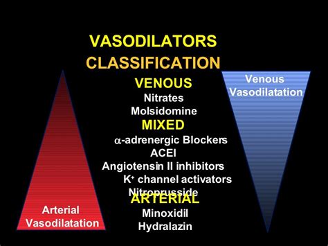 Generic Vasodilators At Michael Hooton Blog