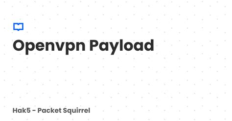 Openvpn Payload Hak5 Packet Squirrel