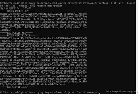 使用jdk的 keytool 生成jks、使用openssl查看公钥、导出公钥publickey cer证书 openssl 如何查看