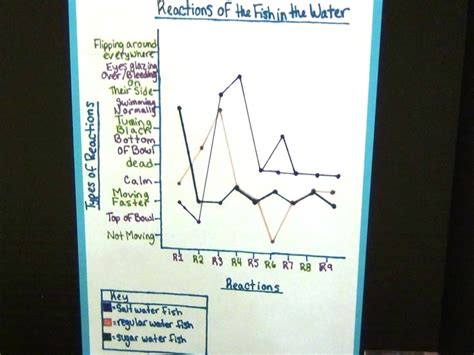 Science Line Graph At Callum Melvin Blog