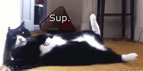 When I Fix Discreetly A Bug In Production The Coding Love Programmer Humor S Memes Jokes