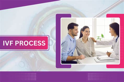 The Ivf Process Explained A Step By Step Guide The Run Time