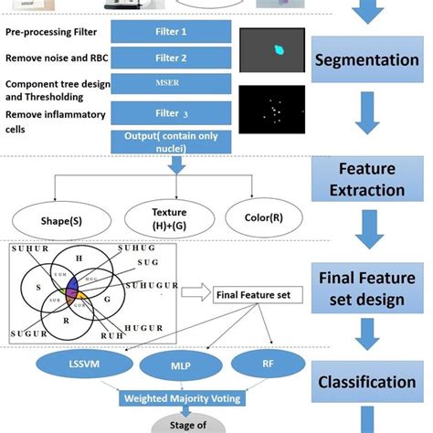 Pdf Automated Classification Of Pap Smear Image To Detect Cervical Dysplasia