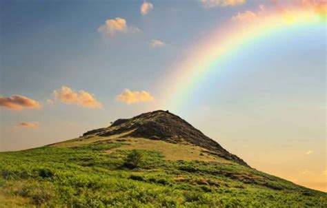 Effective Use Of Biodiversity Mitigation Hierarchy For Development Projects Effective Use Of Biodiversity Mitigation Hierarchy For Development Projects