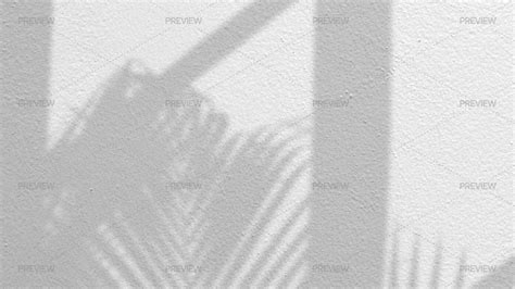 Leaves Shadow Overlay Graphics Motion Array