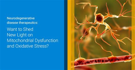 Agilent Cell Analysis On Linkedin Are You Truly Confirming Your Targets Effect On Cell Function