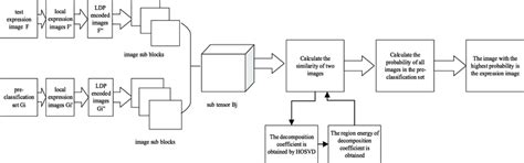 Flow Chart Of Expression Secondary Classification Based On Hosvd
