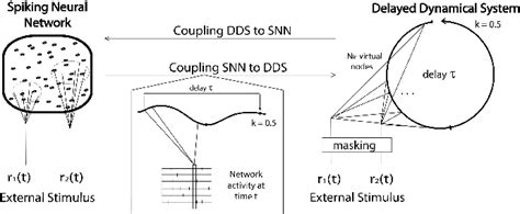 visualization of the non linear coupling between dds and snn download