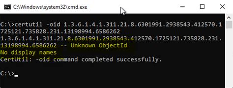 The Display Name Of A Certificate Template Is Not Resolved Only The Object Identifier Oid Of