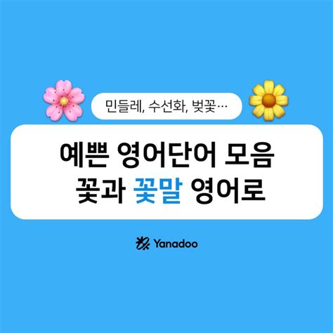 네이버 인플루언서