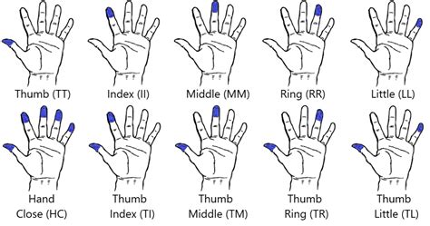 Github Mucahitfindikclassification Of Finger Movements Using Emg Signals