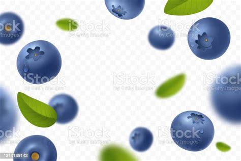 투명 한 배경에 고립 된 녹색 잎과 육즙 잘 익은 블루 베리 떨어지는 블루베리 베리를 비문시고 비행 신선한 빌베리 과자 잼 광고용 디자인 요소 벡터 그림입니다 3차원 형태에