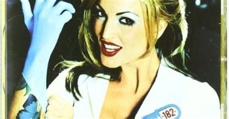 Janine Lindemulder Blink 182 Album Cover Model Then And Now Photos