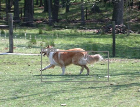 Rfcn识别pascal Voc 2007voc2007中segmentationobject转换为json Csdn博客