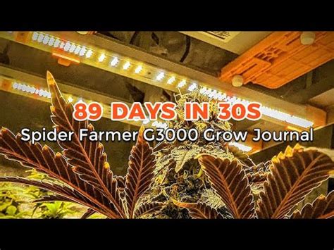 Discover The G Simple Setup Spectacular Results YouTube