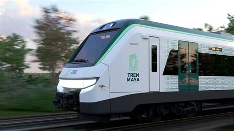 The Mayan Train Progress At The Expense Of The Environment Infobae