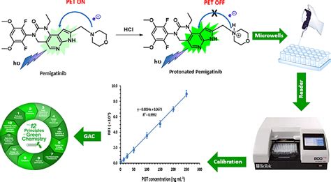 Luminescence Vol 39 No 6