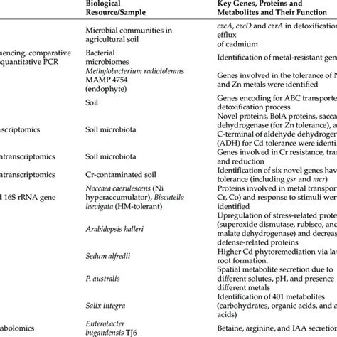 Recent Trends In Harnessing Plant Endophytic Microbiome For Hm Download Scientific Diagram