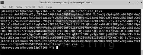 How To Generate SSH Key For Key Based SSH Authentication In AlmaLinux AccuWebHosting