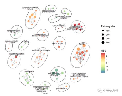 Apear：一个用于通路富集网络自主可视化的r包 腾讯云开发者社区 腾讯云