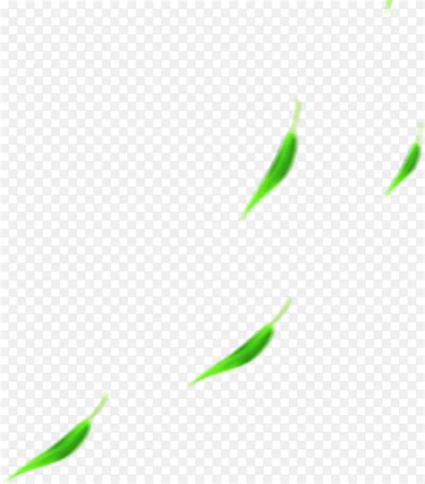 Png Png