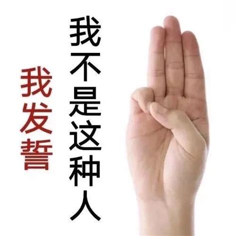 我发誓 我不是这种人表情包表情包图片动图 求表情网斗图从此不求人