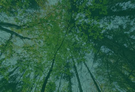 Platform Overview — Ecosystem Intelligence