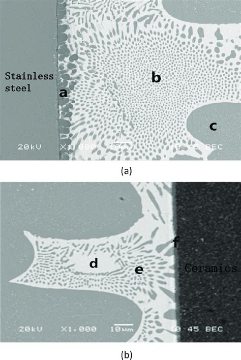 Structure Of Brazing Joint A Microstructure Near Stainless Steel Download Scientific Diagram