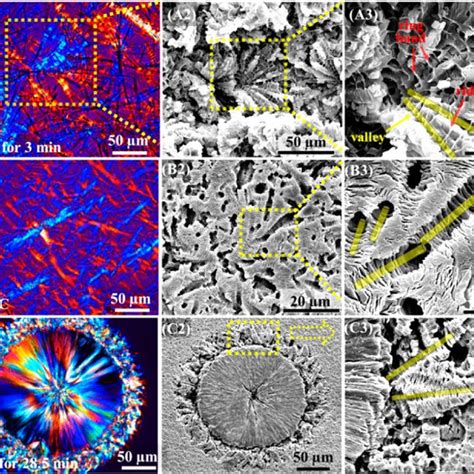 Formation Of 3d Cellulosestereocomplex Structure Sc Pla Porous