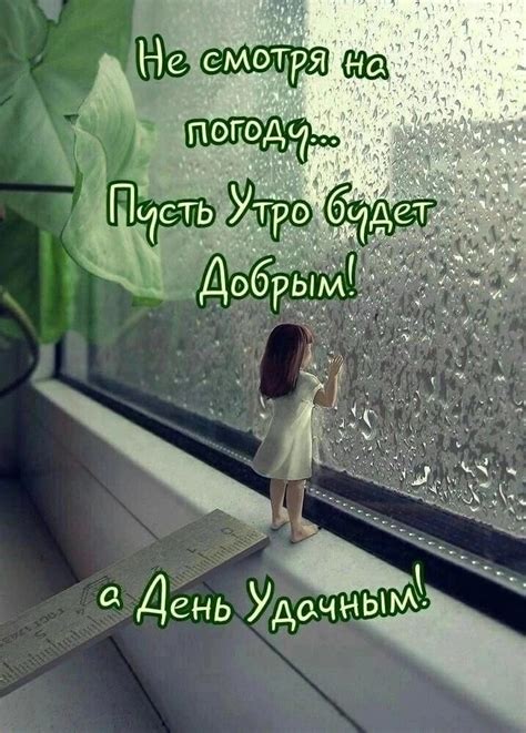 Пин на доске дорогой друг в 2024 г Цитаты про дождь Дождливое настроение Утренняя мотивация