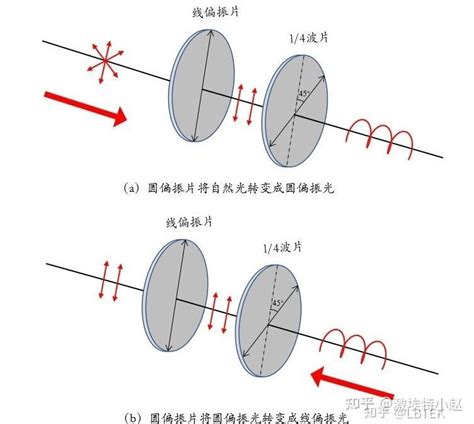 偏振片和滤光片的区别 知乎