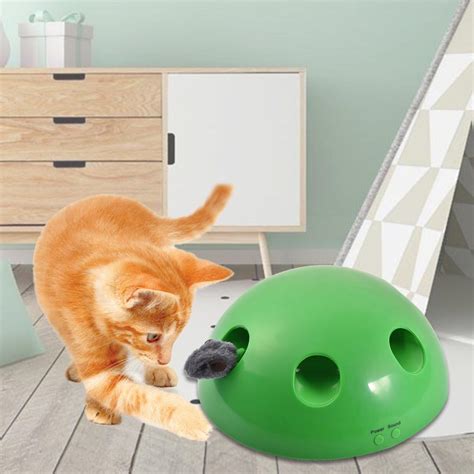 N Play Peek A Boo Cat Toy Funny Carnival Game Peek Grandado