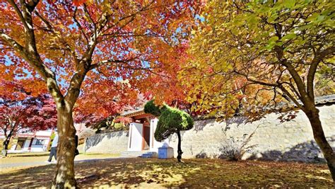 가을 명소 충북 제천 가볼만한곳 배론성지 단풍 구경 제천여행코스 추천 네이버 블로그