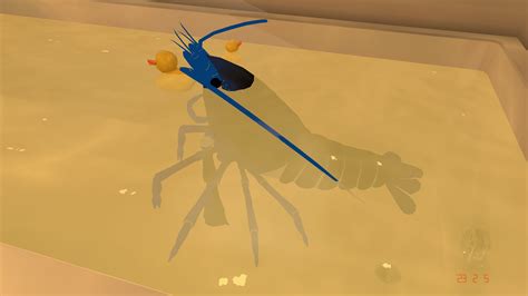 B4 Bifronsopen Twitter