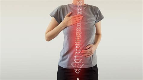 A Software For Automated Compressive Vertebral Fracture Detection On