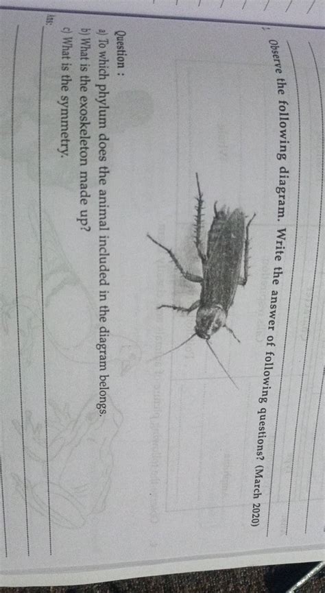 Observe The Following Diagram Write The Answer Of Following Questions