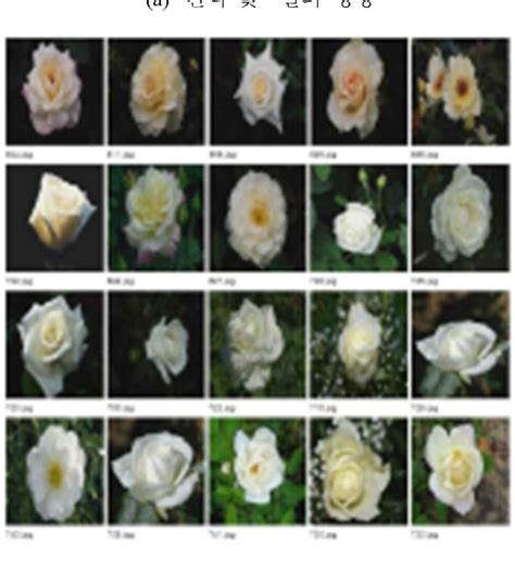 Figure 2 From Design Of Block Based Image Descriptor Using Local Color And Texture Semantic