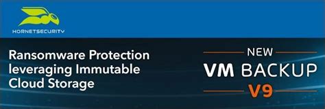 Hornetsecurity Vm Backup V With Immutable Cloud Storage Nolabnoparty