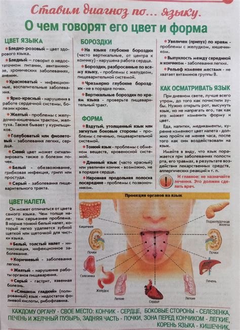 Пин от пользователя Greta на доске Sveikata в 2025 г Физическое здоровье Журнал о здоровье