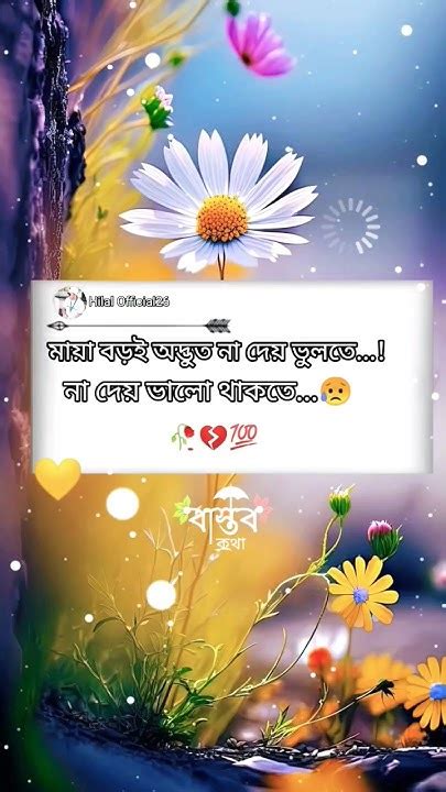 মায়া বড়ই অদ্ভুত নাদেয়ভুলতে না দেয় ভালো থাকতে 😥reels Trending