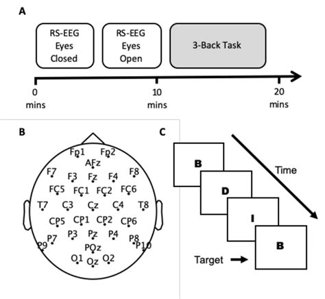 Experiment Details A Illustration Of The Eeg Protocol And Timeline